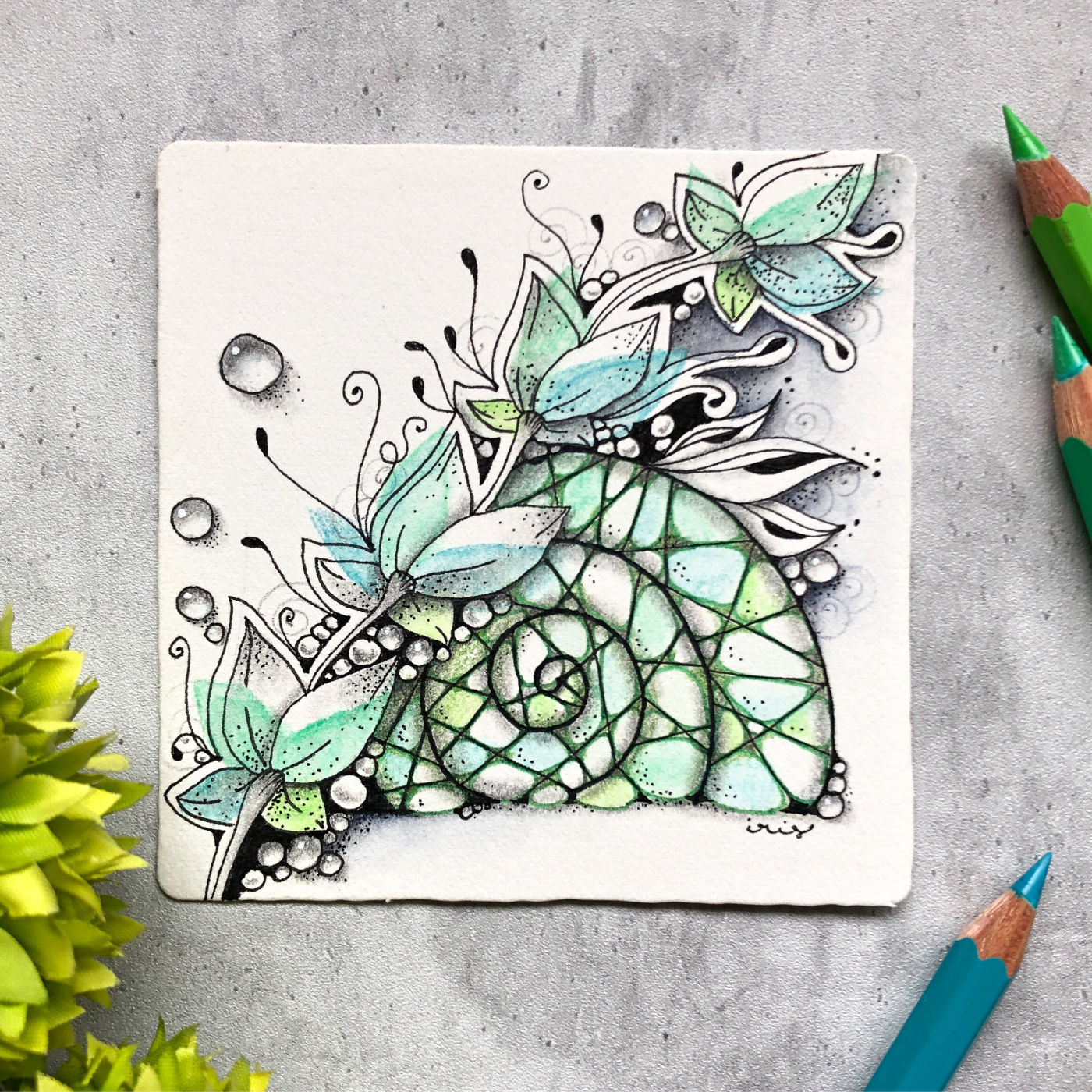 ZENTANGLE | Tangle just art | My Tangles